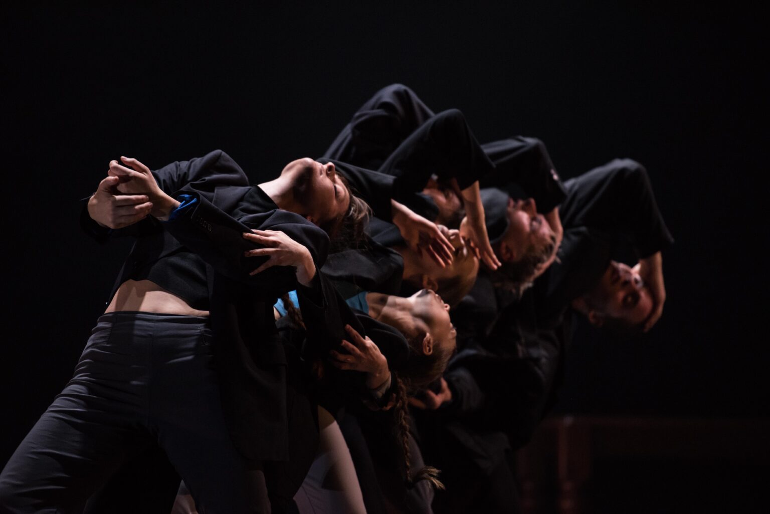 IMPACT FESTIVAL - Catapult Dance